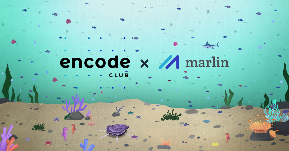 Discover Marlin Oyster through Encode Club’s bootcamps - Blog